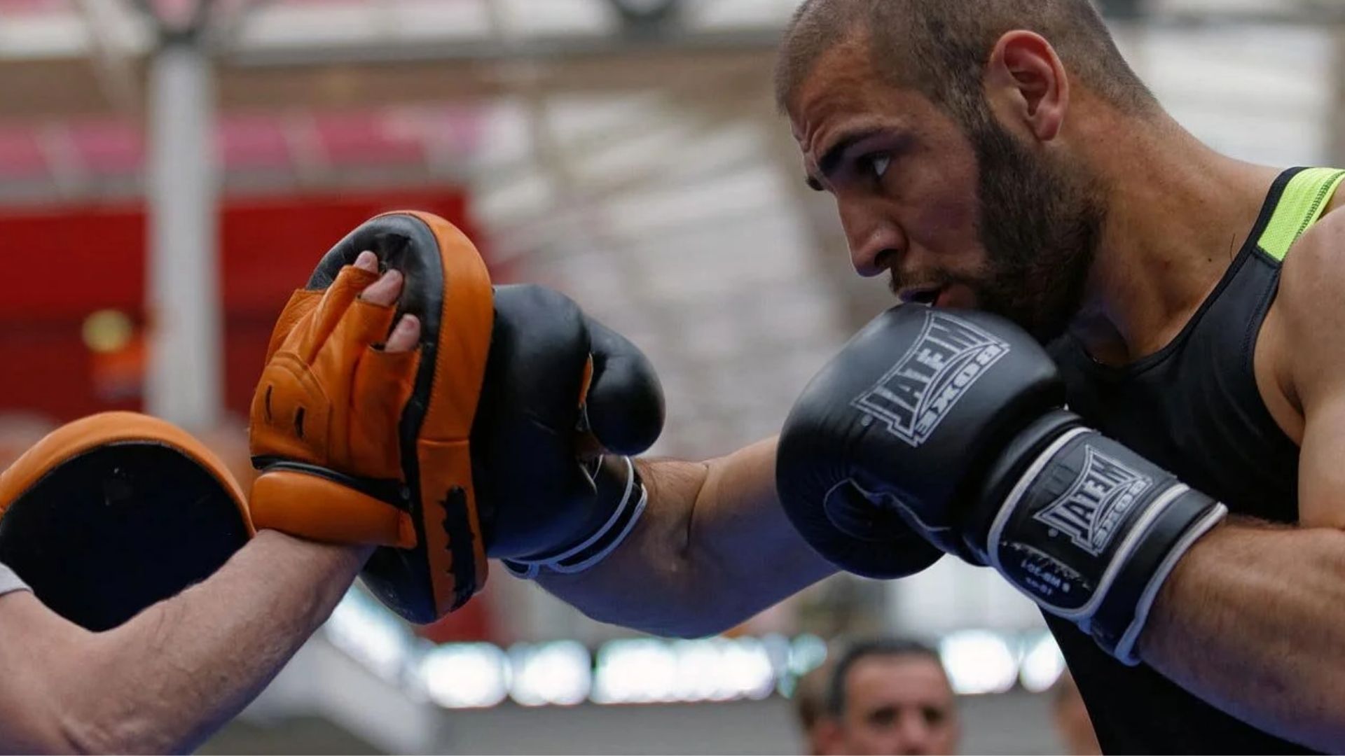 Choosing The Best Punching Mitts For Training - MMA Factory