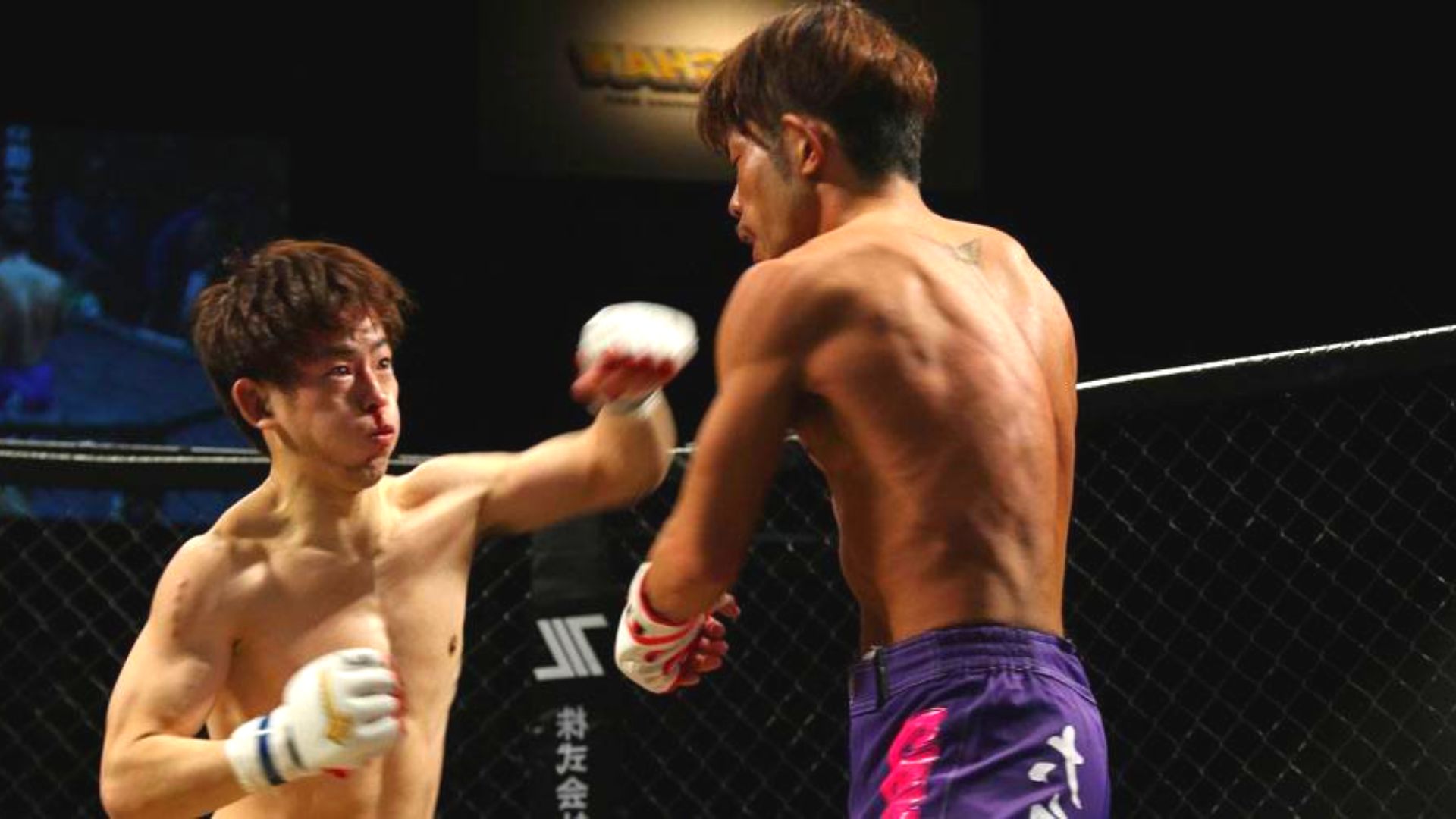 How To Increase Your Punching Power In Muay Thai - MMA Factory