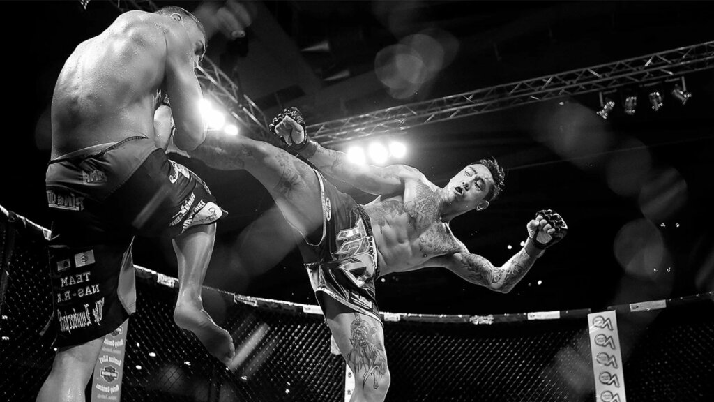 The Ultimate Glove Guide: Everything You Need To Know About Gloves MMA ...